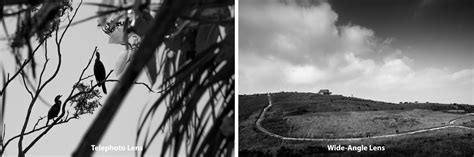 Image result for Sharp Depth of Field