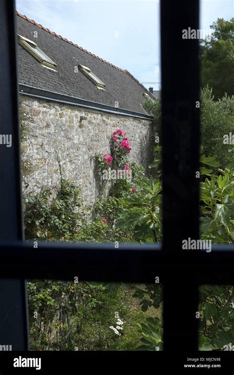 Image result for View Thru Window