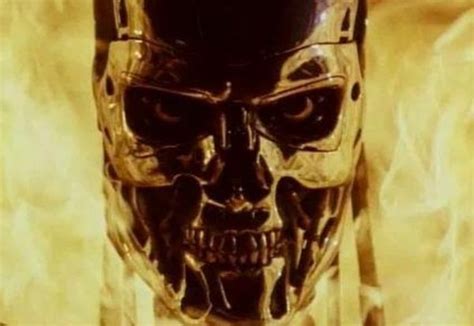 Image result for Terminator MKIceAndFire