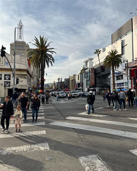 Image result for David Grams Tutorial