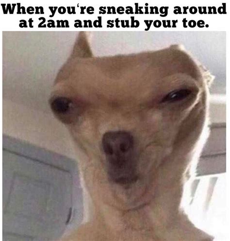 Image result for Simp Alert Meme