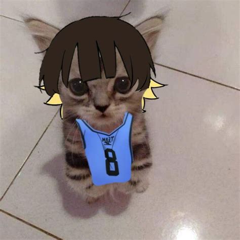 Image result for Chapi Blue Lock