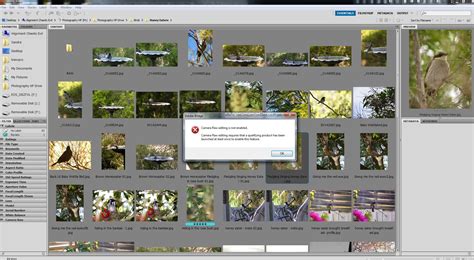 Image result for Bridge CS6 Tutorial