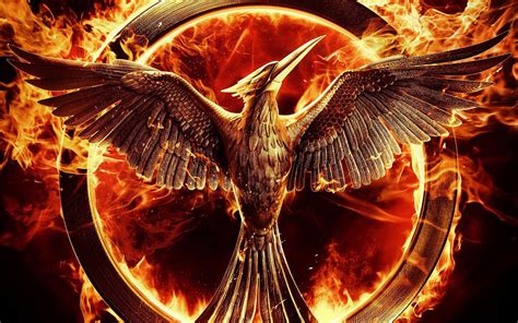 Image result for Mockingjay Bird Drawing
