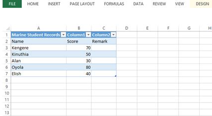 Image result for If Function in Excel True False
