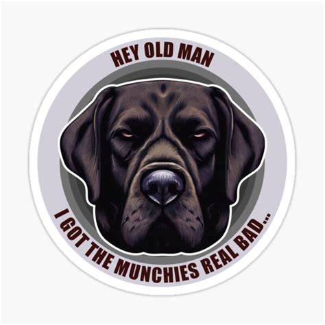 Image result for Grumpy Angry Face Red Lab