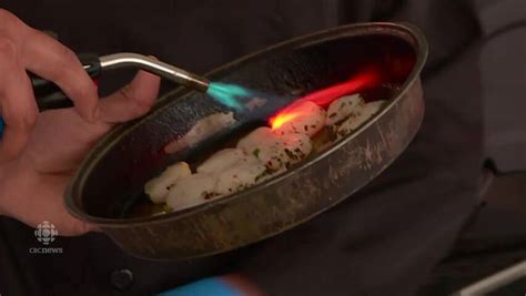 Image result for Canadian Cooking Competition