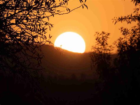 Image result for Depth of Field Photography Examples