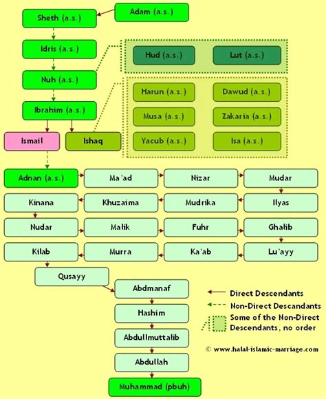 Image result for Muhammad Family Tree