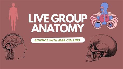 Image result for Science Lesson Zoom