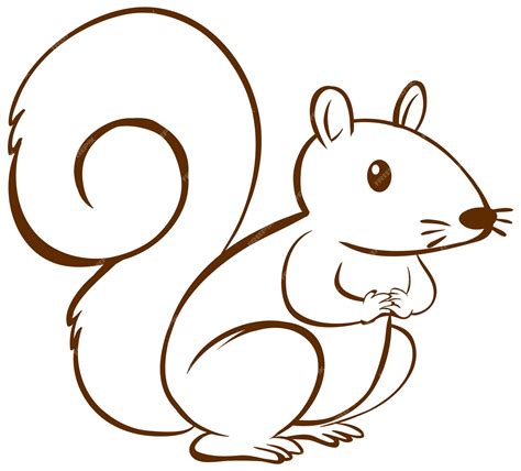 Image result for Squirrel Drawing Tutorial