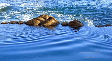 Image result for Wave Interference