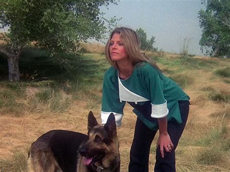 Image result for Bionic Woman Bionic Dog