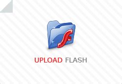 Image result for Flash Player Upload File