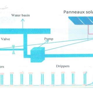 Image result for Subsurface Drip Irrigation System