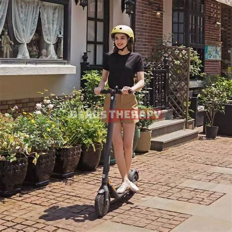 Image result for Ninebot E25 Operating Instructions