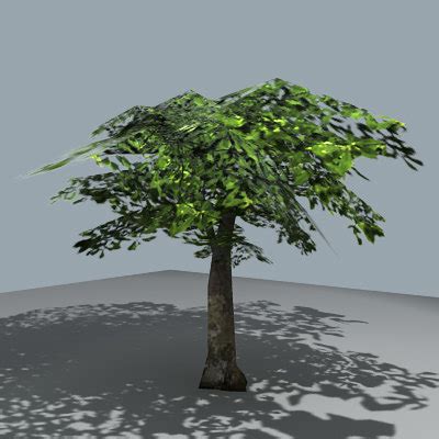 Image result for Tree Texture Maya