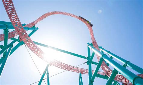 Image result for Xcelerator Roller Coaster