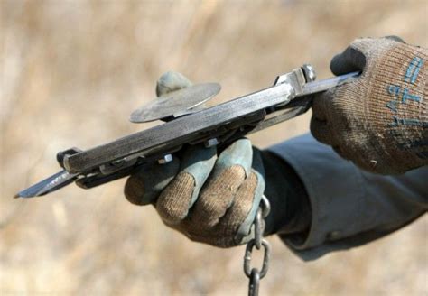 Image result for How to Trap Wolves