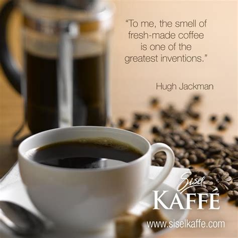 Image result for Sisel Coffee Beans