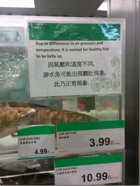 Image result for Fish Fail