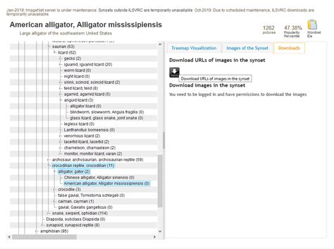 Image result for ImageNet Class