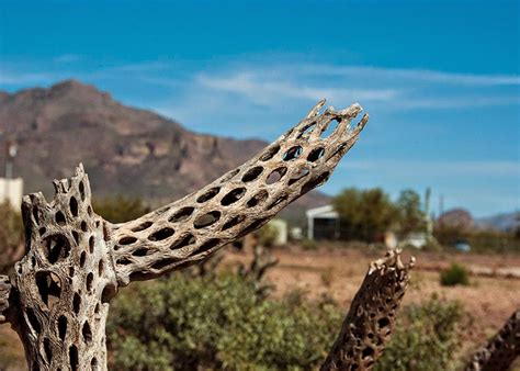 Image result for Blouse On Pattern Layout