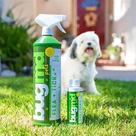 Image result for Bug MD Testimonials