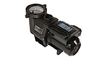 Image result for Sta-Rite IntelliPro Variable Speed Pool Pump