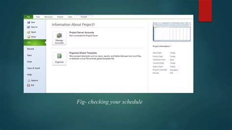 Image result for Microsoft Project 2010 Overview