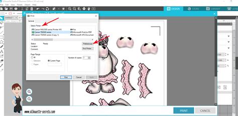 Image result for Cameo Pro Problems