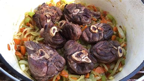 Image result for How to Cook Impala Meat