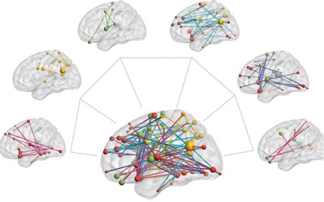 Image result for BrainNet Viewer Mapping File English