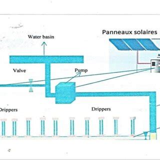 Image result for Subsurface Drip Irrigation System