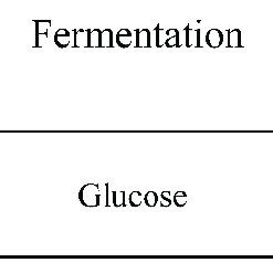 Image result for Food Waste Bioethanol