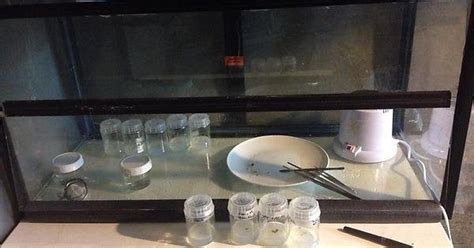 Image result for How to Build External TC