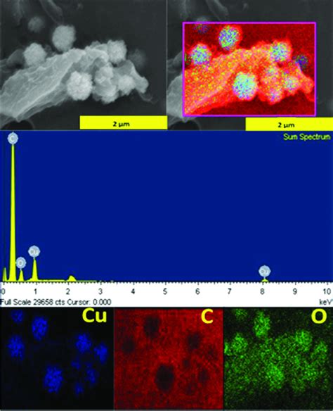 Image result for Scanning Electron Spectroscopy