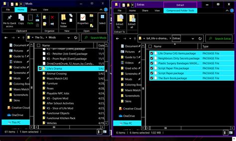 Image result for Sims 3 Mods Folder
