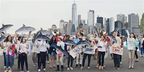 Image result for Ocean Project