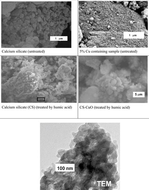 Image result for Humic Acid Sem