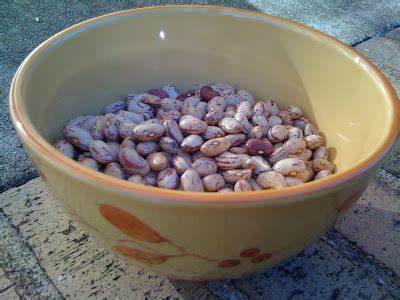 Image result for October Beans