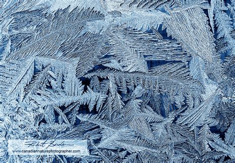 Image result for Crystal Structure Microscope