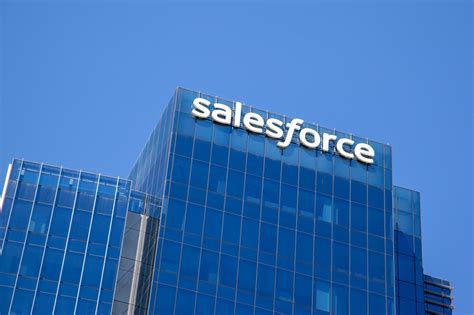 Image result for Software Systems Salesforce