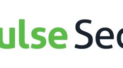Image result for Old Pulse Secure Logo
