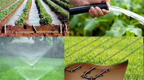 Image result for Irrigation Types