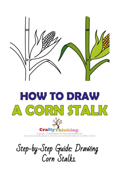 Image result for Drawing Corn Stalks