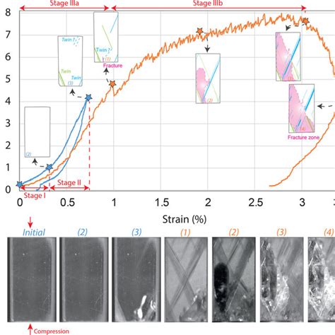 Image result for Dislocation Mutagenesis