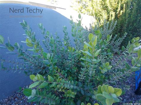 Image result for Akaso Keychain Camera