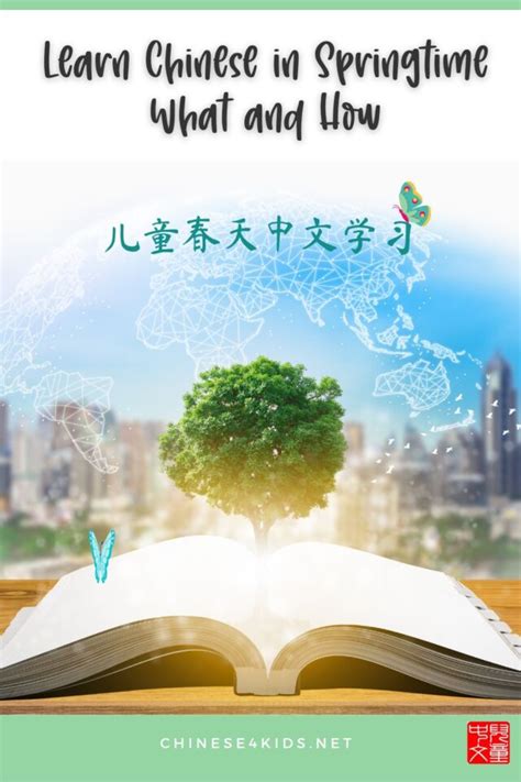 Image result for Chinese Basic Lessons Kids