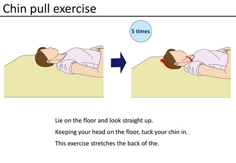 Image result for Trunk Bender Exercise